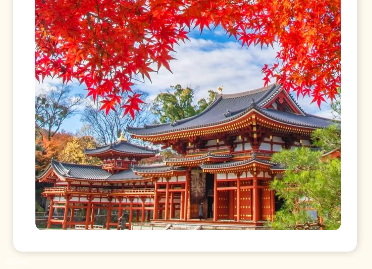 [Nara & Uji] Nara Park & Todai-ji Temple & Byodo-in Temple & Uji Matcha ...